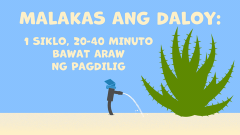 Watering tips